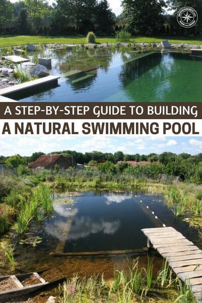 A Step-By-Step Guide to Building a Natural Swimming Pool - Guns Ammo ...